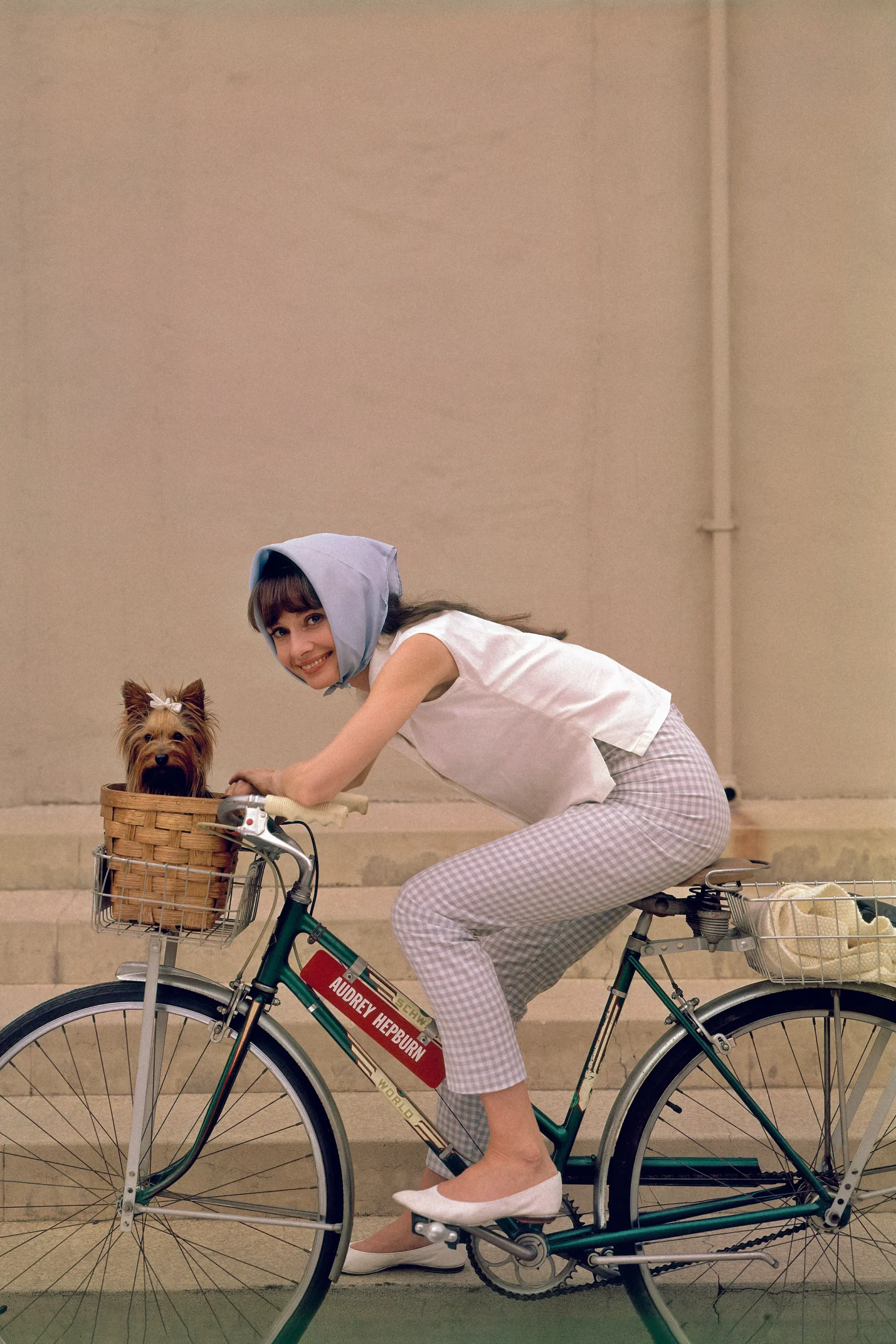 Najbolj pričakovane knjige leta 2025, ki jim napovedujejo status uspešnice