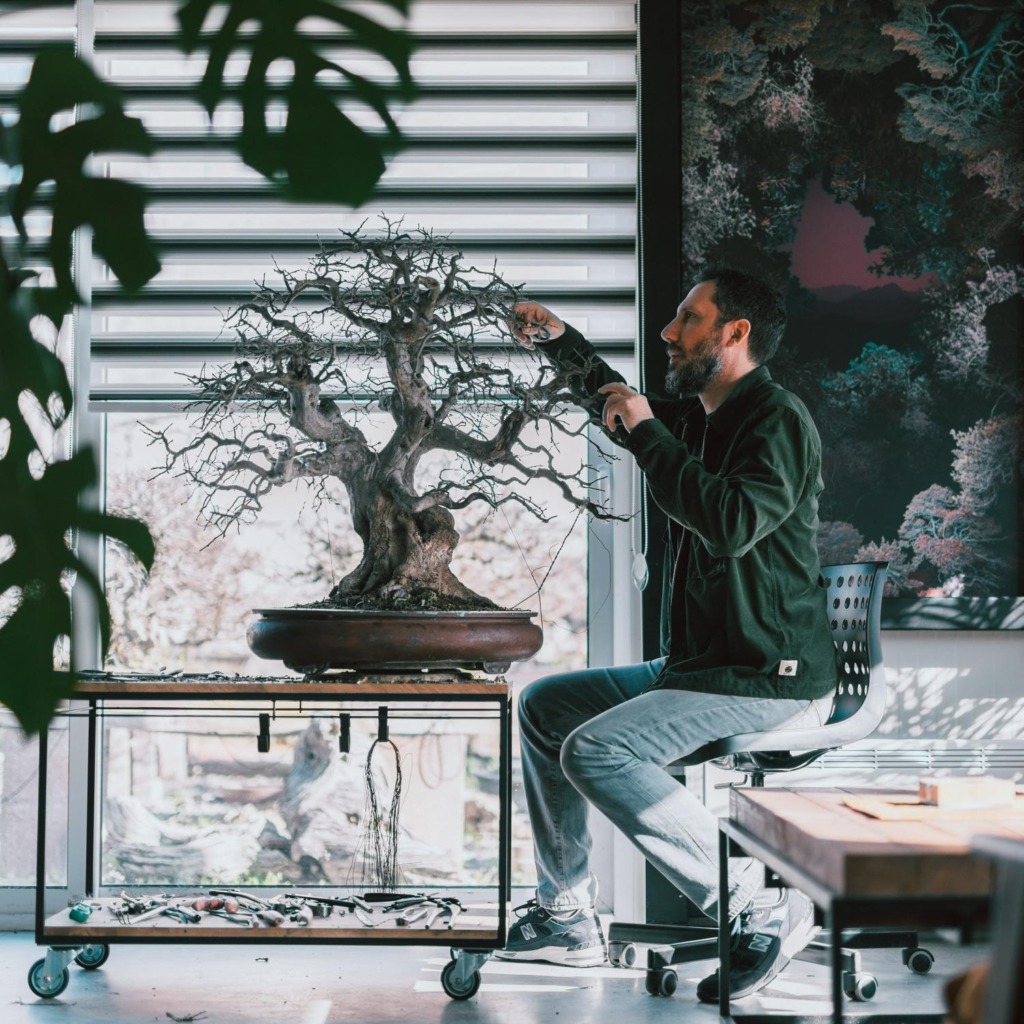 Grow your own bonsai: a hobby that calms the mind